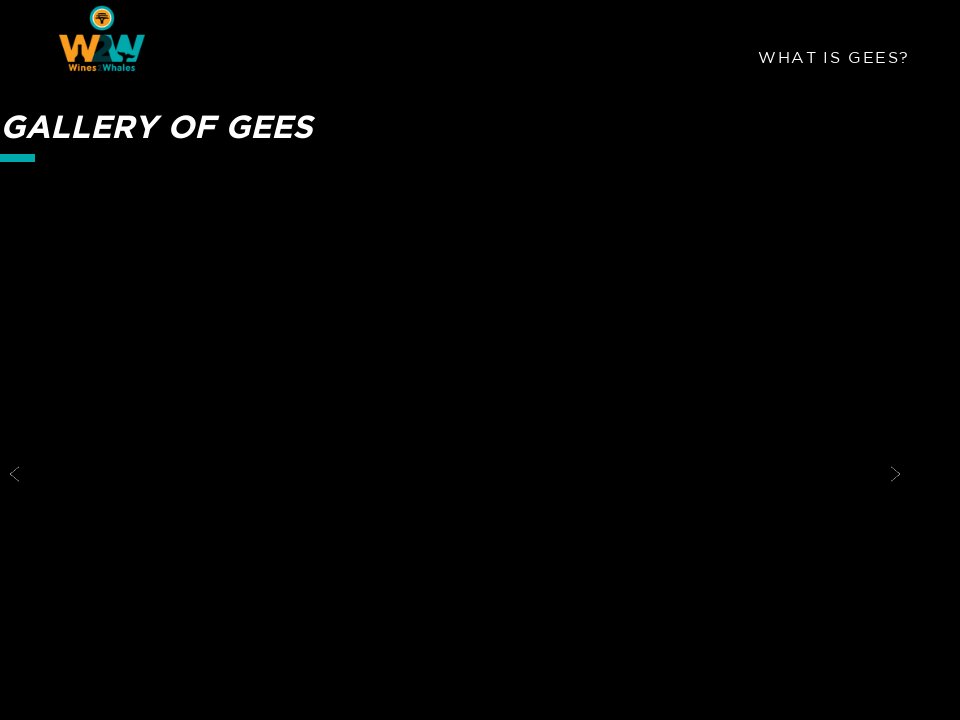 Gallery of Gees - Wines 2 Whales 2023
